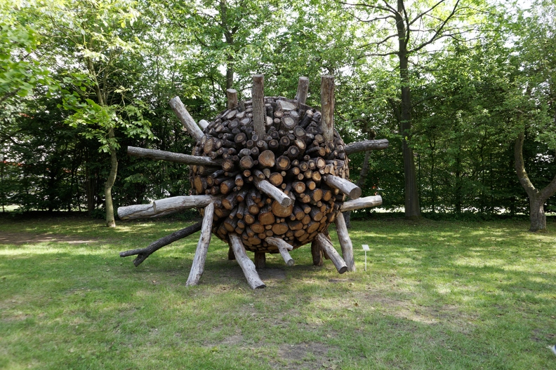 IMG 0899 | Fotos von Thomas Heier