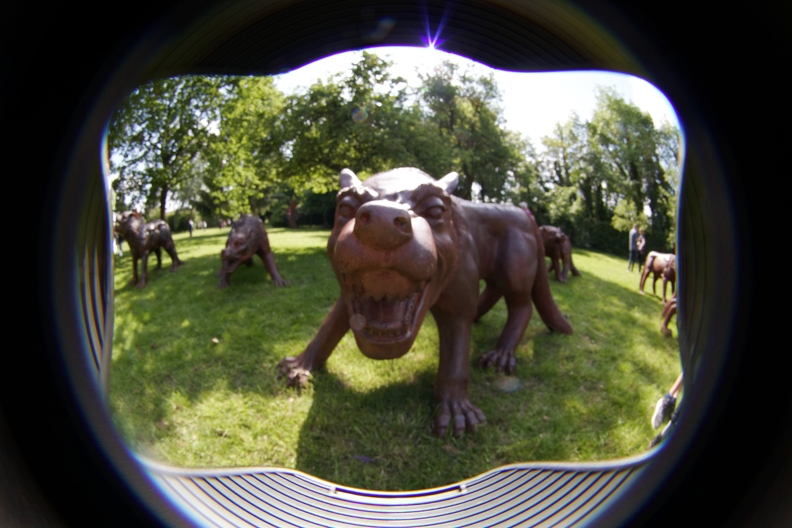 IMG 0923 | Fotos von Thomas Heier