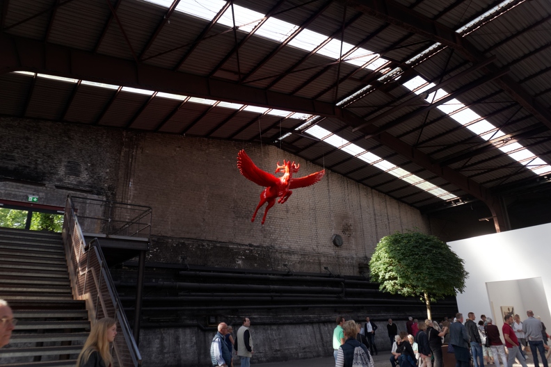 IMG 0971 | Fotos von Thomas Heier