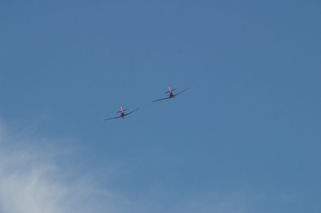 Neue Webseite - CRW_2611