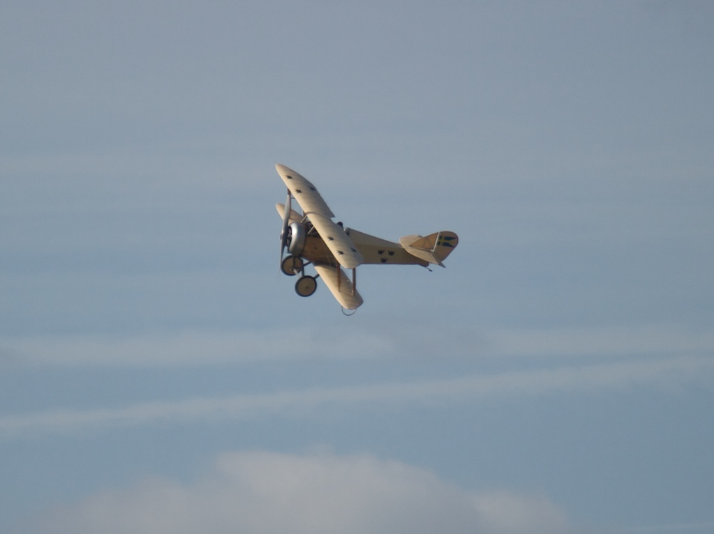 Neue Webseite - CRW_2665